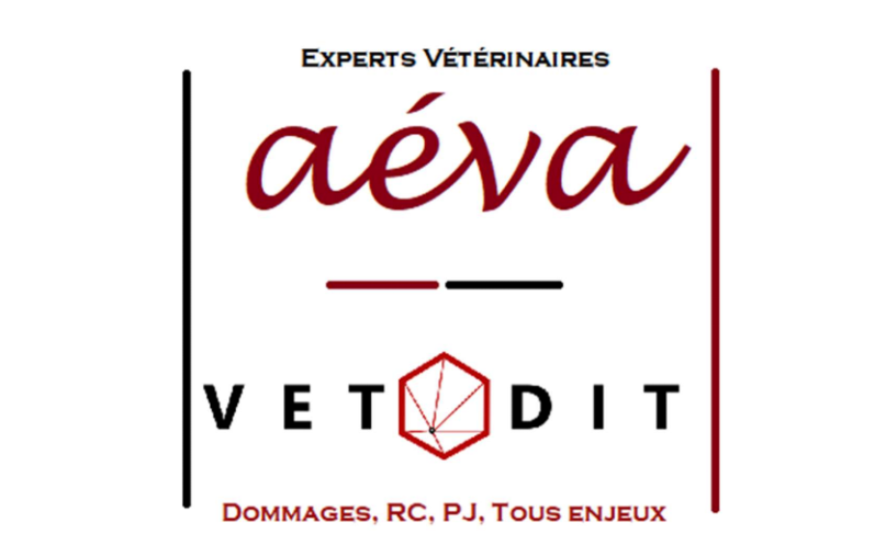 Points INFO aéva-VETODIT – VETODIT.COM